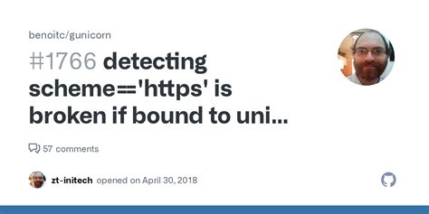 Detecting Scheme Is Broken If Bound To Unix Domain Socket · Issue 1766 · Benoitc