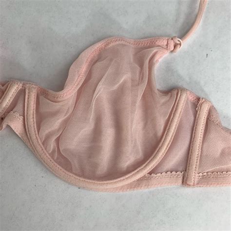 Jenna Jameson Intimates And Sleepwear My Soft Pink Sheer Mesh