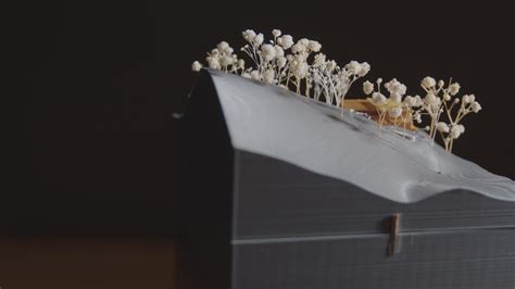 Architecture Dami Lee