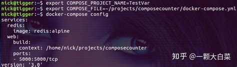 Docker Compose 引用环境变量 知乎