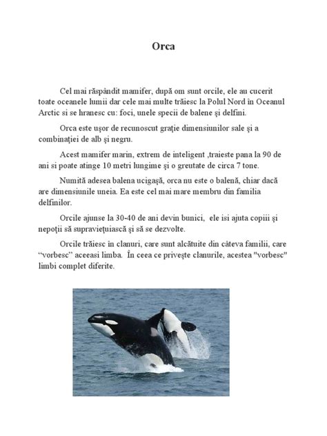orca pdf