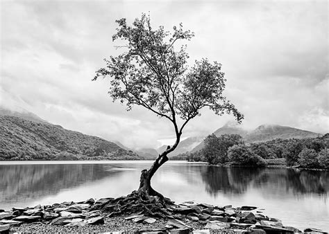 Llyn Padarn 2