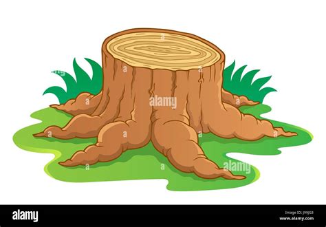 Tree Root Cut Piece Section Segment Part Area Log Detail Environment Stock Photo Alamy