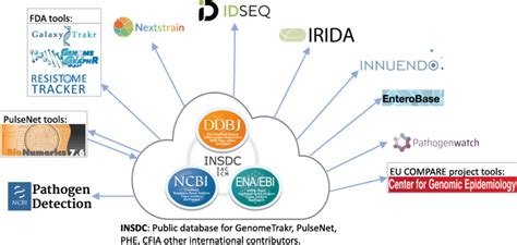 Insdc Hub Showing How Genomic Data In Public Databases Get Analyzed By Download Scientific