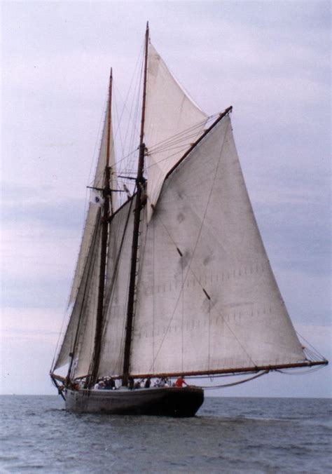 Ernestina At Port Quarter Sailing Sailing Ships Old Boats