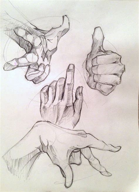 Pin By Lotus On Hand Drawn Anatomy Art Sketches Human Anatomy Art