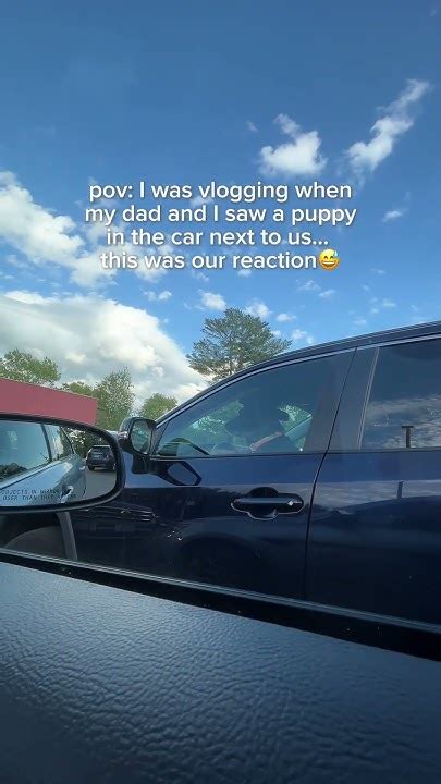 Our Reactions To Seeing A Dog😅 Funnyreaction Dadanddaughter