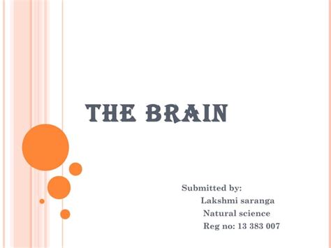 The Human Brain Its Parts And Functions Pptx