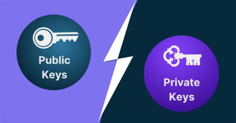 What Are Public And Private Keys
