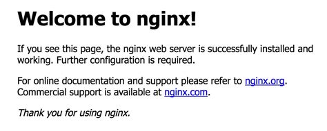 Raspberry Pi Nginx Und Php Installieren Und Einrichten Randombrickde