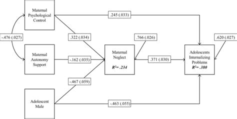 Direct And Indirect Associations With Adolescents Internalizing