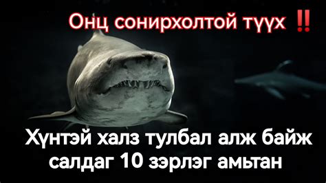 Энэ 10 амьтантай таарчихгүй амьдарчих юмсан Гоё түүхүүд Goy Tuuhuud 2024 Mongol Heleer Kino Duu