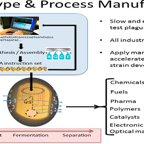Aspects Of Biomanufacturing Processes Download Scientific Diagram