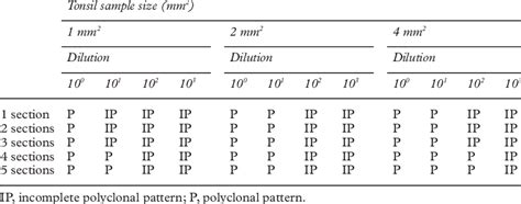 Complementarity Determining Region 3 Cdr3 Polymerase Chain Reaction
