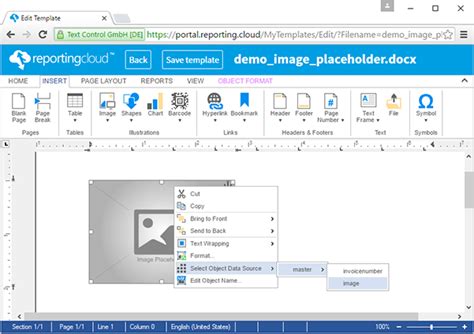 Typical Tasks Merging Images Into Image Placeholders Reportingcloud Docs