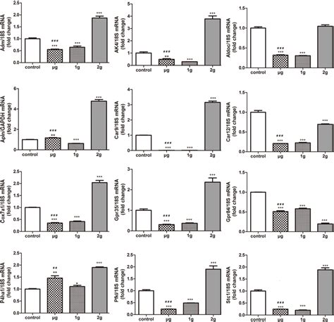 Microarray Results Were Verified Using Real Time PCR For Genes In Download Scientific Diagram