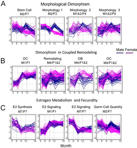 Selective Temporal Gene Sets Identified As Having Significant Download Scientific Diagram
