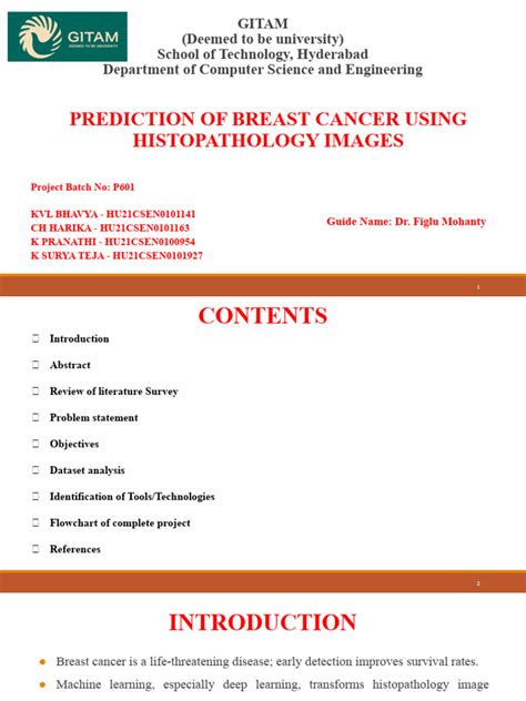 Capstone Review 2 Pdf Statistical Classification Deep Learning