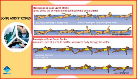 Part I Of Swimming Strokes The Long Axis Strokes Swimming Strokes