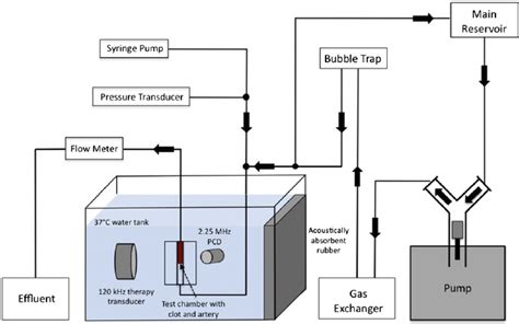 Experimental Setup The KHz Therapy Transducer And The MHz Download Scientific Diagram