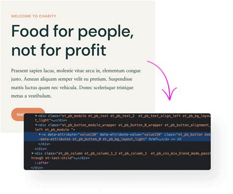 Divi Custom Attributes Divi Supreme