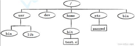 Linux学习之基本指令一 Csdn博客