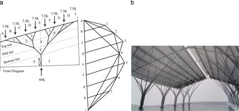 tree inspired dendriforms and fractal like branching structures in