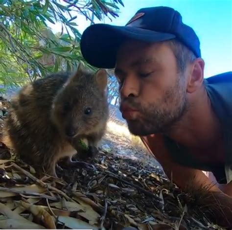 Chris Hemsworth Just Became Bffs With An Australian Quokka And My Heart