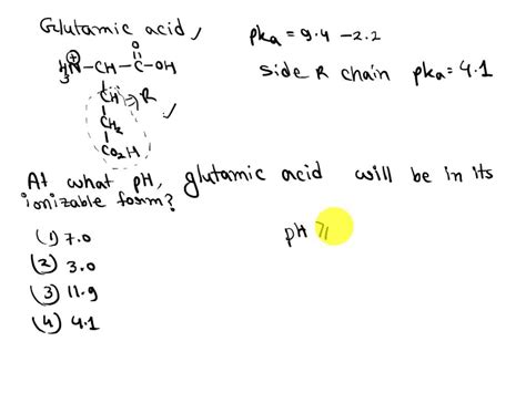 All Amino Acids Have Two Ionizable Functional Groups At Julian Byrd Blog