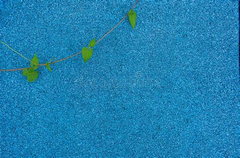 Blue Stadium Coverage Texture Treadmill Textured Background Jogging