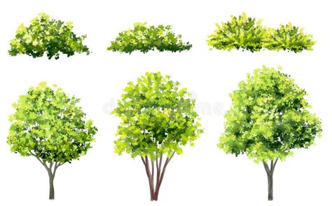 Green Tree Forest With Grass Elevation For Landscape Scene Stock Vector Illustration Of