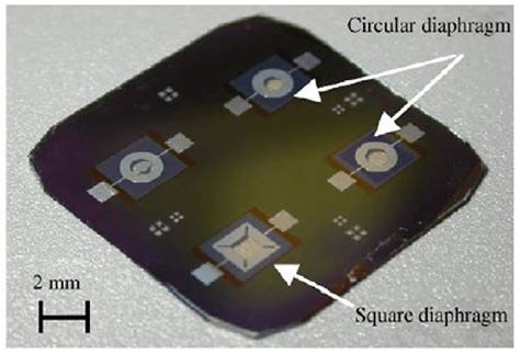 An Image Of The Fabricated Piezoelectric Microphone [64] Download Scientific Diagram