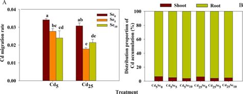 1Selenium supply alters the subcellular distribution and chemical forms ...