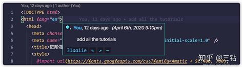 VSCode插件大全VSCode高级玩家之第二篇 知乎