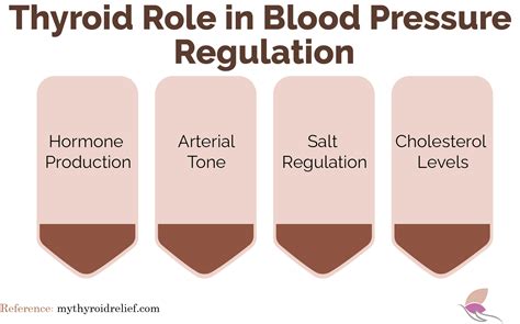 Hypertension And The Thyroid My Thyroid Relief