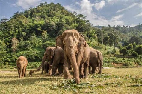 Percona On Linkedin Postgresql 15 Merge Ahead