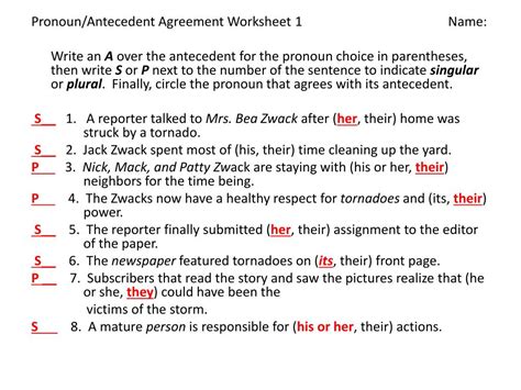 Pronoun And Antecedent Agreement Examples