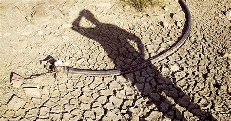 Leading Climate Academics Have Supported Delay On El Nino Declaration