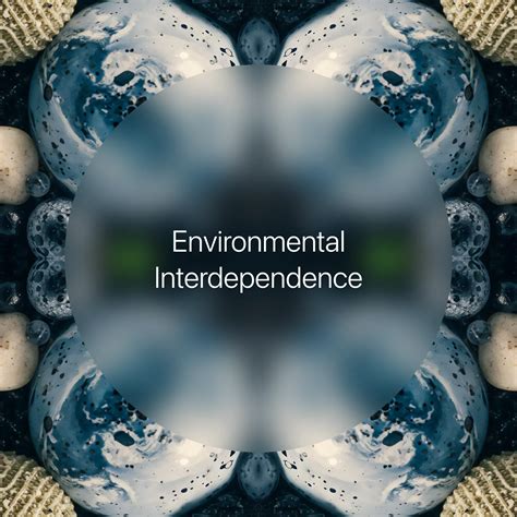 Environmental Interdependence → Term