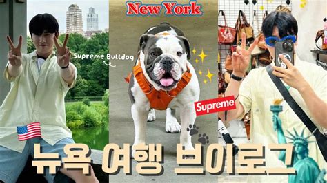 🇺🇸 미친 J의 겁나 알찬 뉴욕 종횡무진 여행 브루클린 윌리엄스버그 카페 쇼핑 추천 코스 센트럴파크 인생샷 스팟 📸 차이나타운 맛집 미국 뉴욕 여행 브이