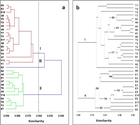 Dendrograms Of Cluster Analysis Highlighting Phylogenetic Relationships Download Scientific
