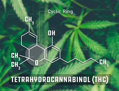 Thc Molecule Infographic Featuring Alternative Medicine Atom And