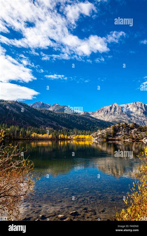 Fall Color At Gull Lake In The Town Of June Lake In The Eastern Sierra