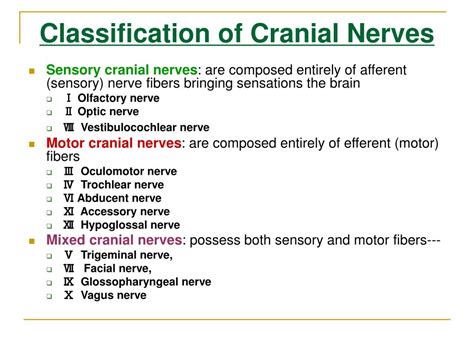 Ppt The Cranial Nerves Powerpoint Presentation Free Download Id