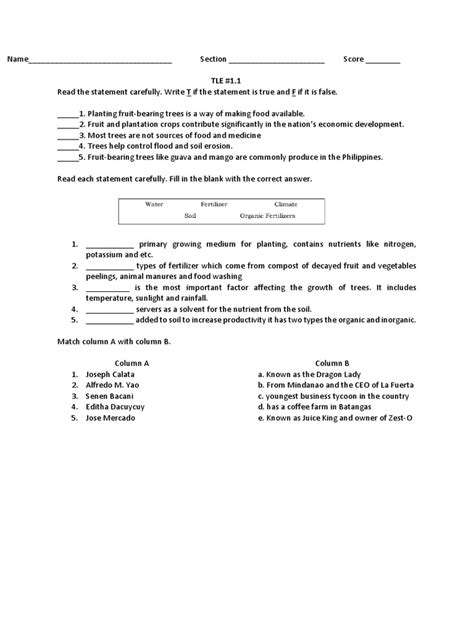 Summative Test Tle Pdf