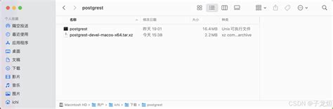 postgrest api 安装及基础使用 csdn博客