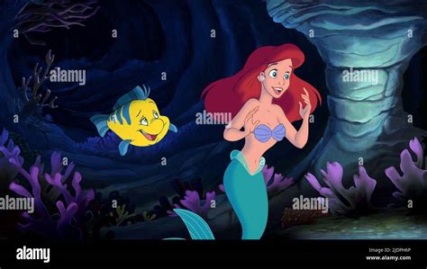 Ariel Agus Flounder Agus Sebastian Following The Trend Ariel