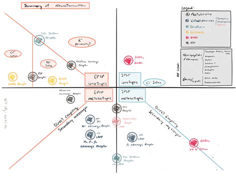 Overview Of Neurotransmitters Kit Ng Ph D