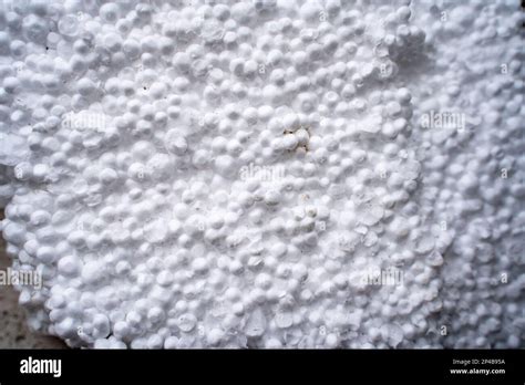 White Styrofoam Sheet Close Up Universal Insulation Material Made Of Expanded Polystyrene