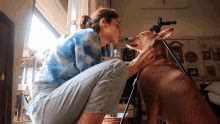 Dog With Human Hands S Tenor